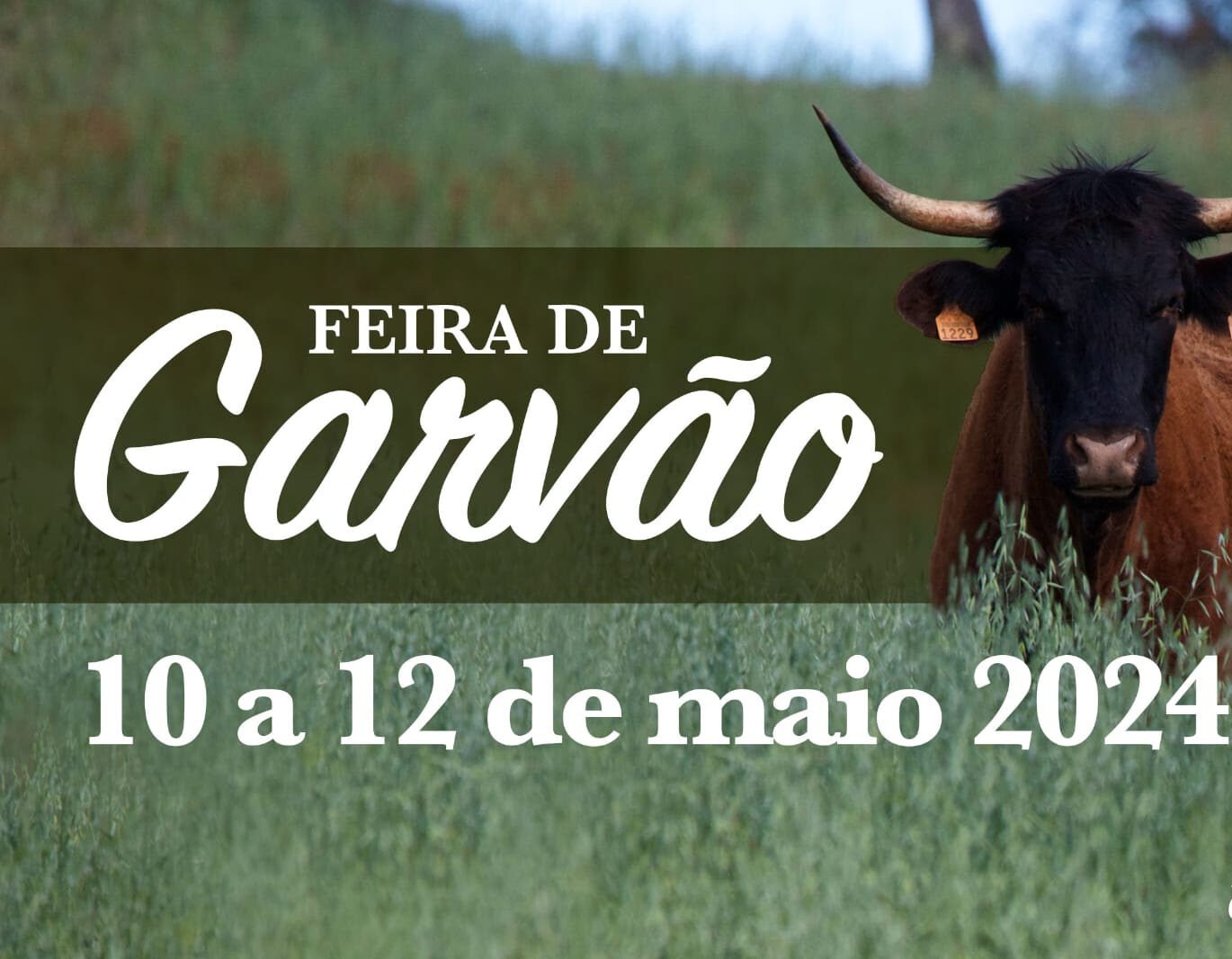 Rádio Castrense - Feira de Garvão regressa de 10 a 12 de maio - Emanuel ...